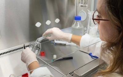 First microalgae at the Lab – GREEN – Generating Energy from ...